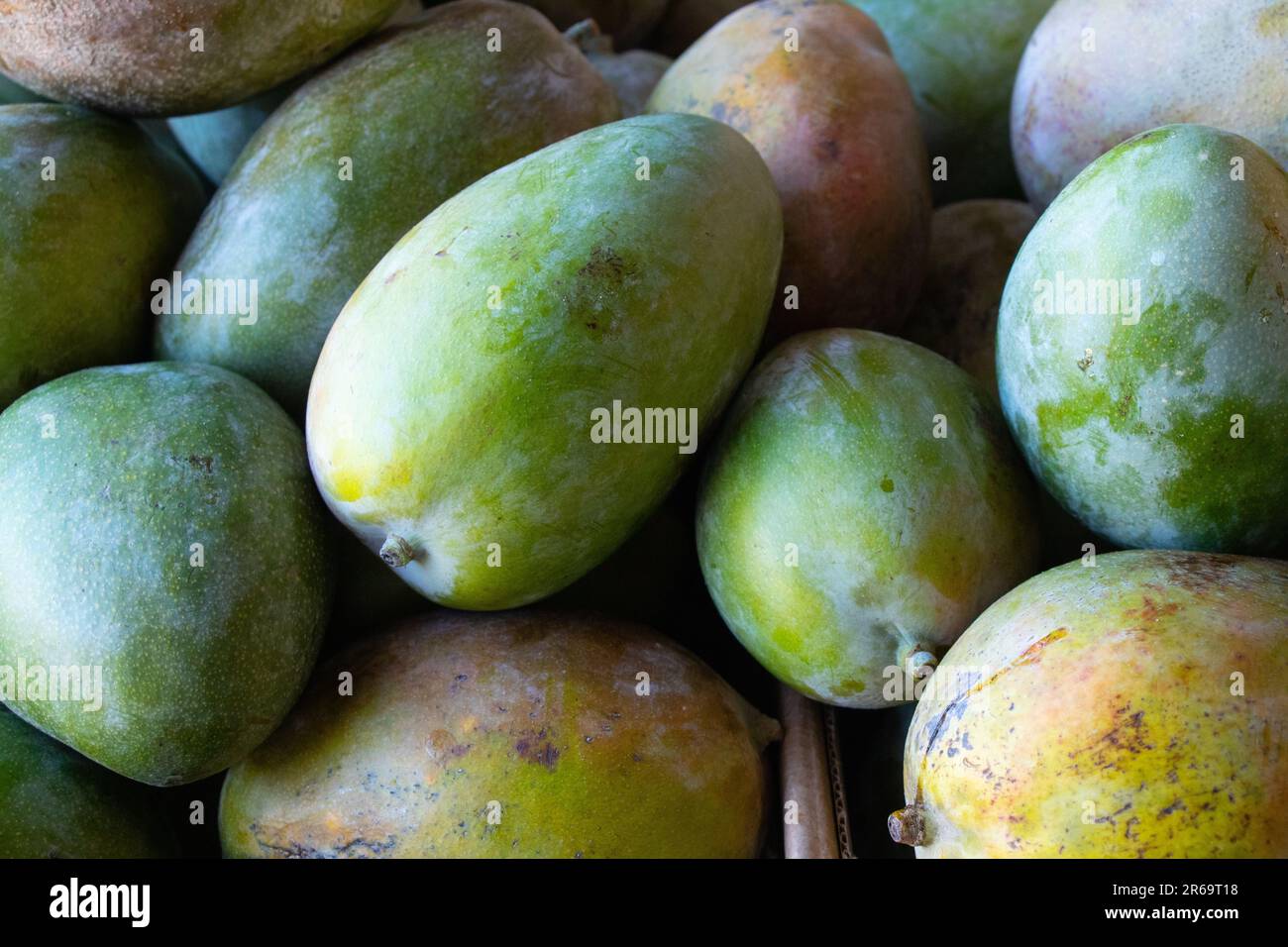 Mango showcase hi-res stock photography and images - Alamy