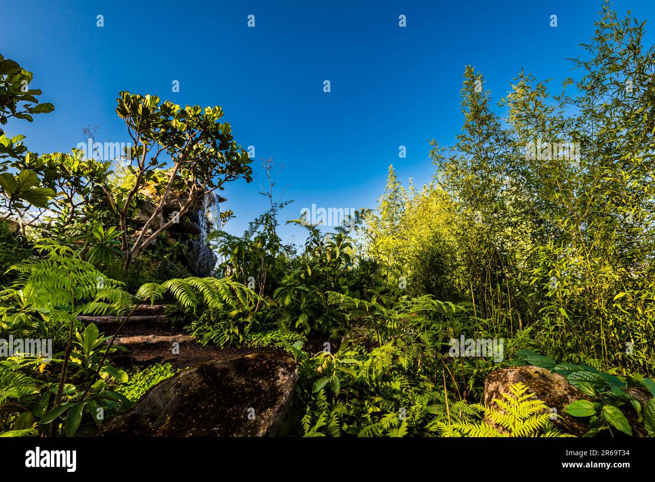 Early morning light over the side of The Fauna & Flora Garden designed ...