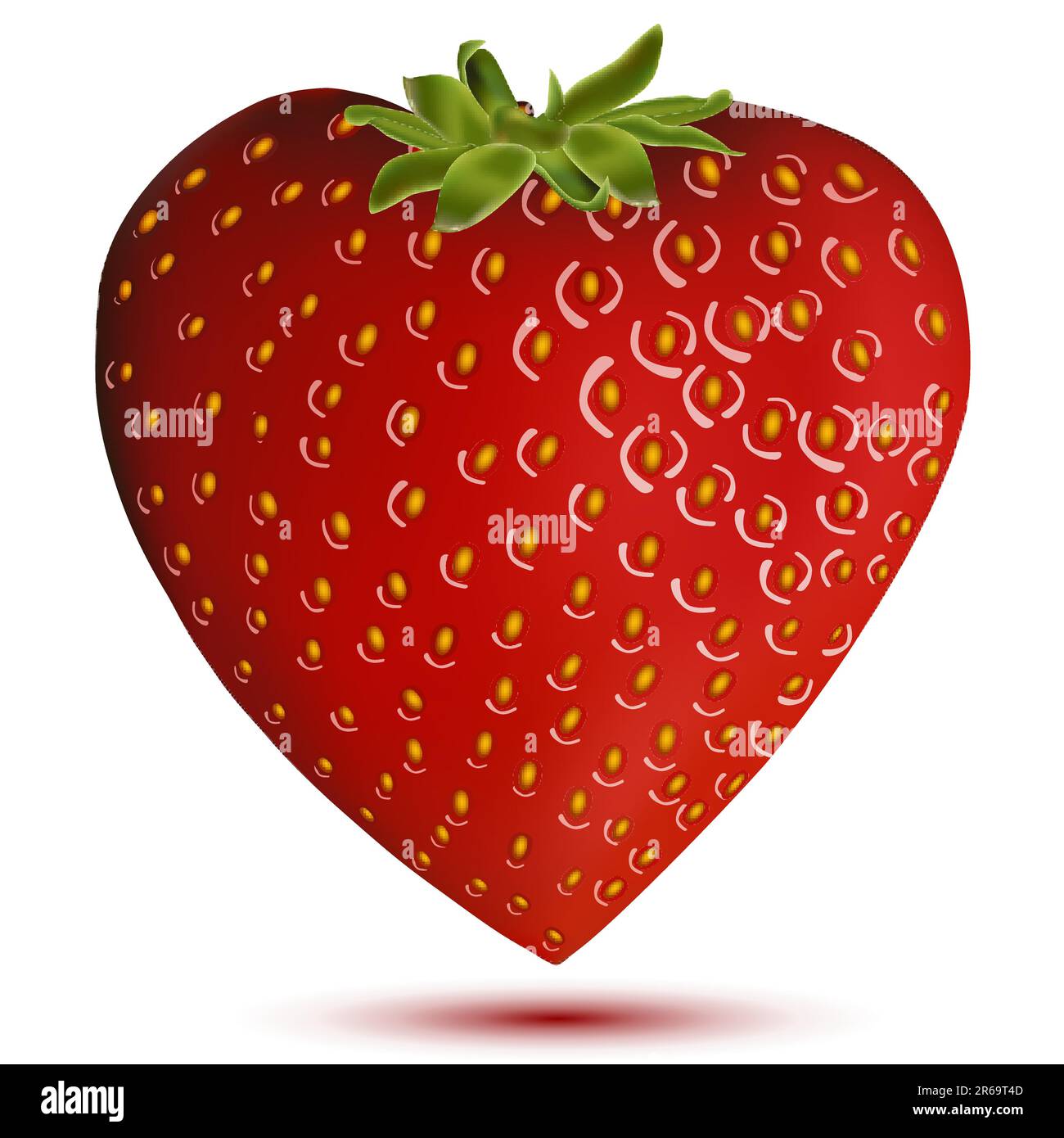 illustration of strawberry with white background Stock Vector Image ...