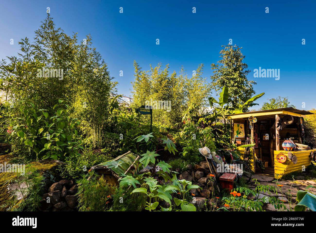 Early morning overview of The Fauna & Flora Garden designed by Jilayne ...