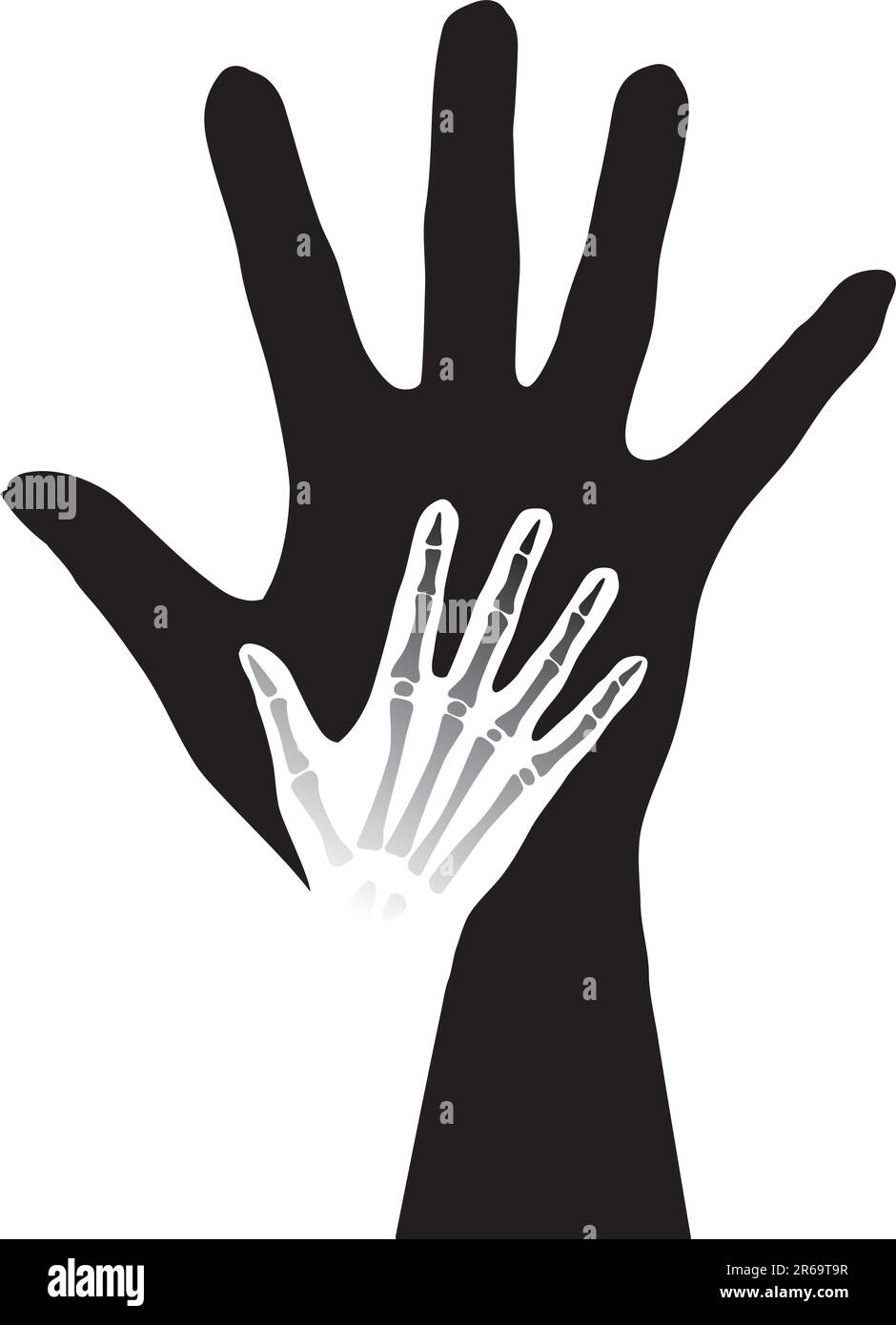 Stylized hands anatomy. Black and white illustration Stock Vector Image ...