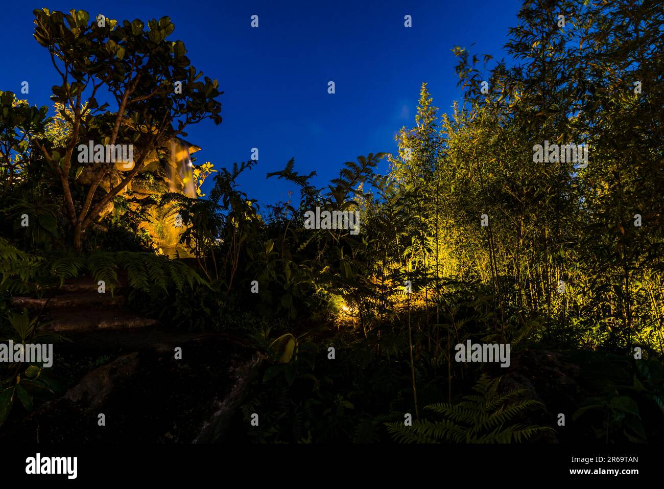 Side view at night of The Fauna & Flora Garden designed by Jilayne ...