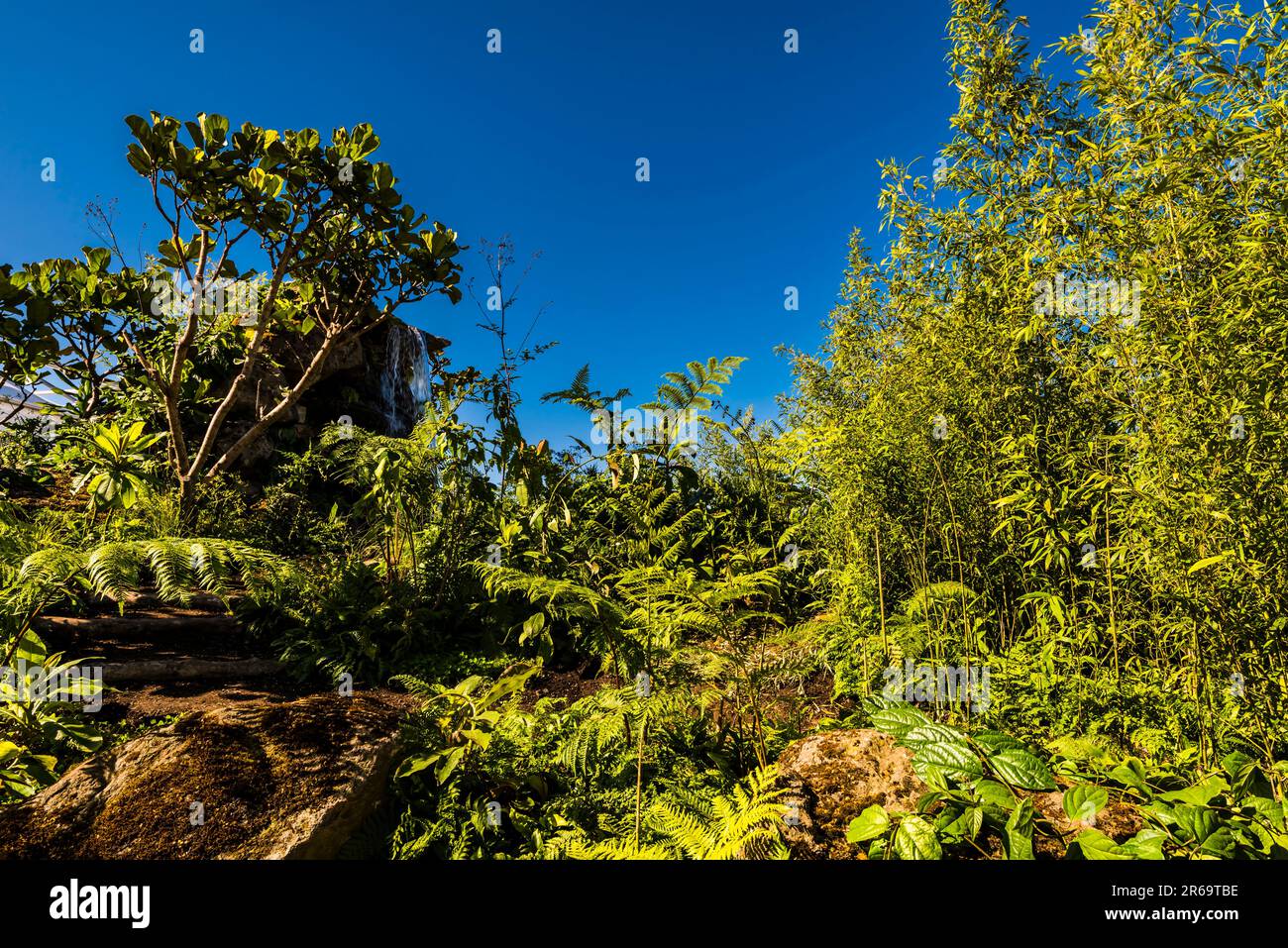 Side view in the early morning of The Fauna & Flora Garden designed by ...