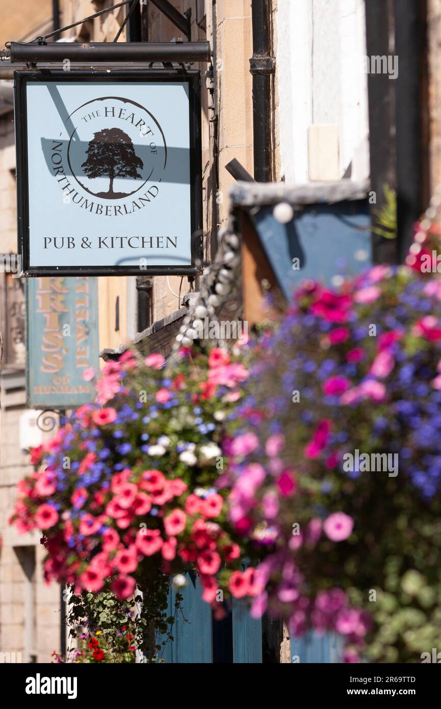 The Heart of Northumberland pub, Hexham, Northumberland Stock Photo - Alamy
