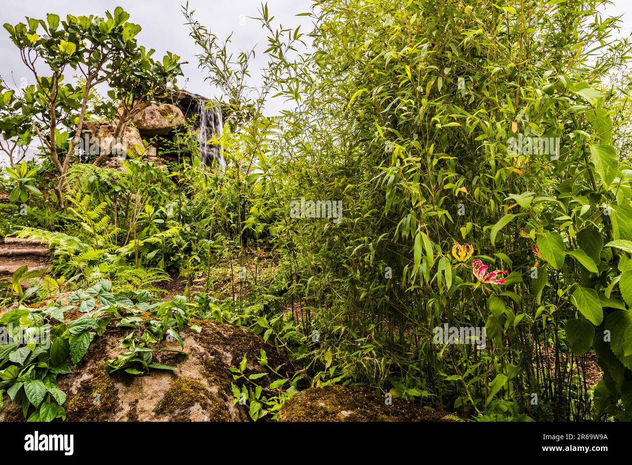 Side view of The Fauna & Flora Garden designed by Jilayne Rickards at ...