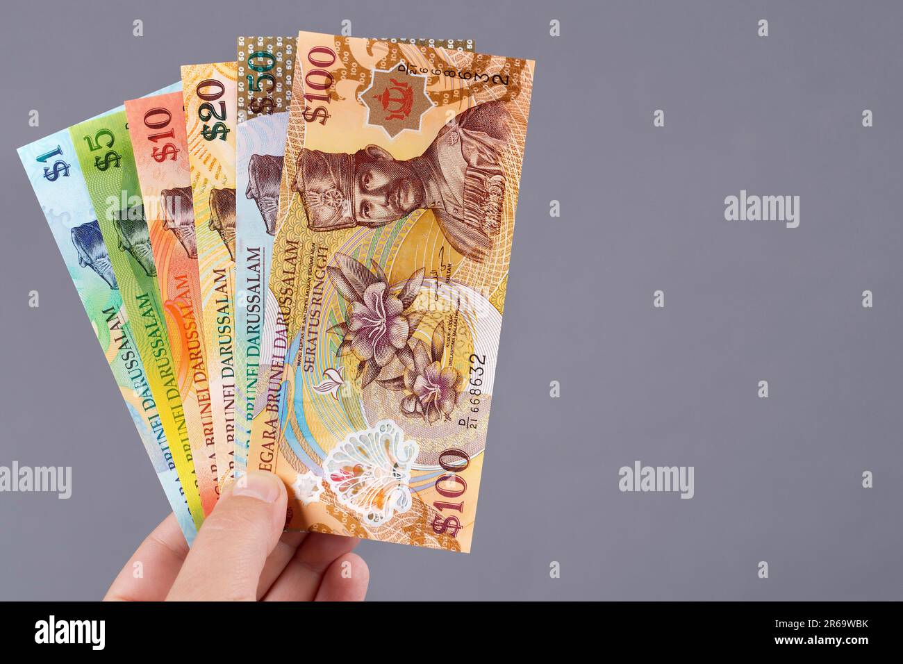 Brunei money - dollar in the hand on a gray background Stock Photo - Alamy