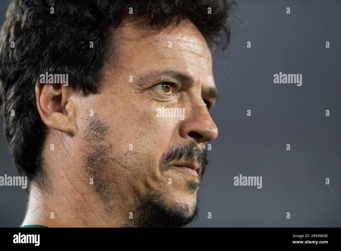 Buenos Aires, Argentina. 07th June, 2023. Fernando Diniz, head coach of ...