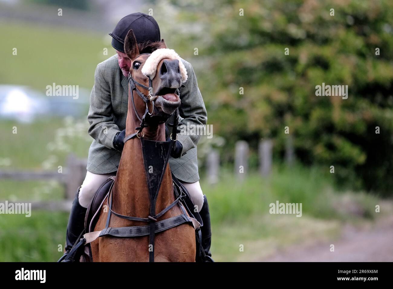 Hawick, UK. 08th June, 2023. Thursday 08 June 2023. Hawick Common ...