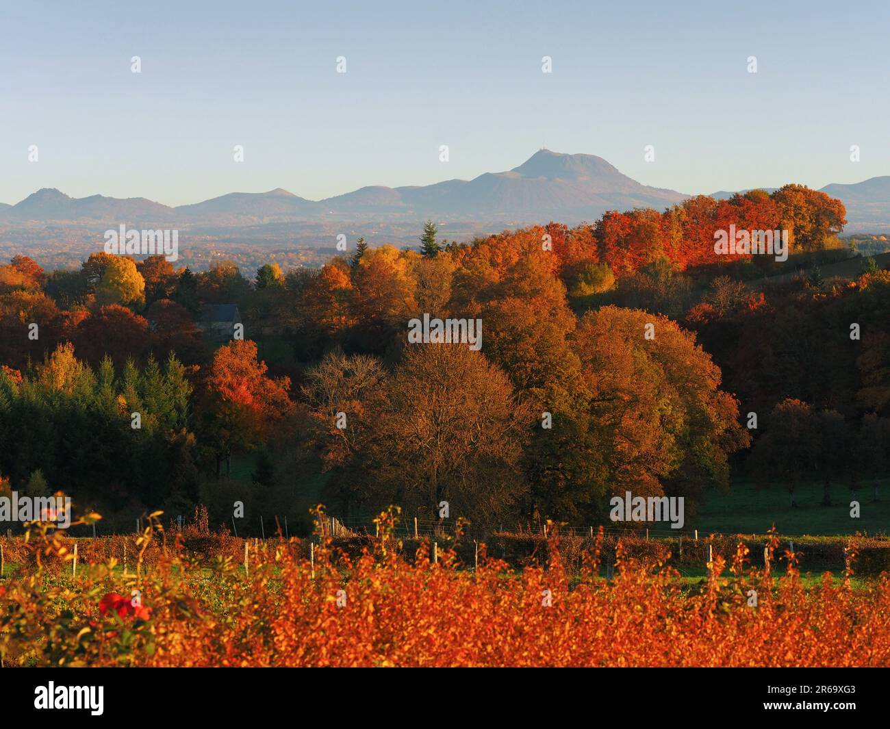 France. Auvergne. Puy-de-Dôme (63) seen from La Villefranche to Biollet ...
