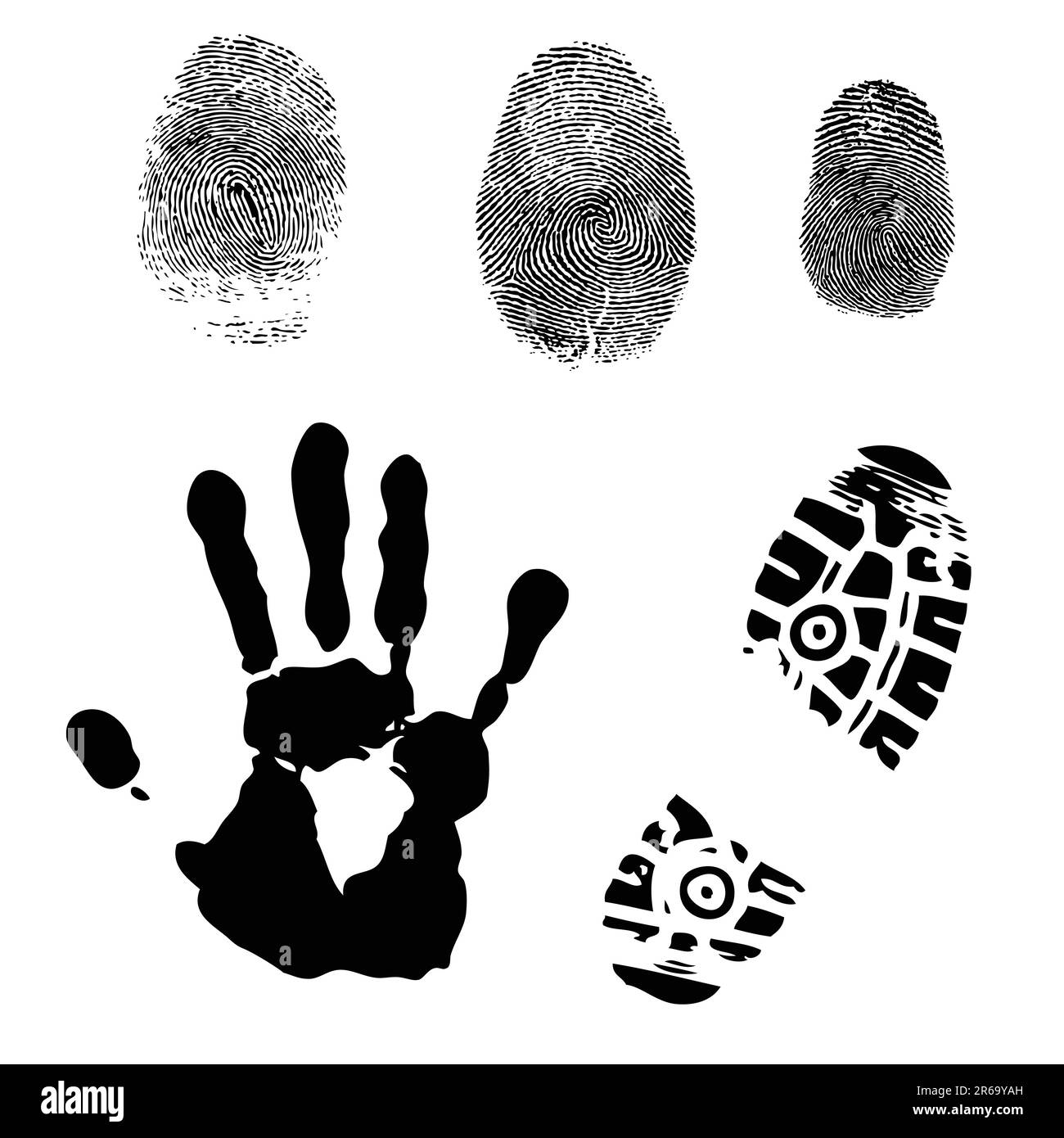 detailed fingerprints handprint and shoeprint over white background ...