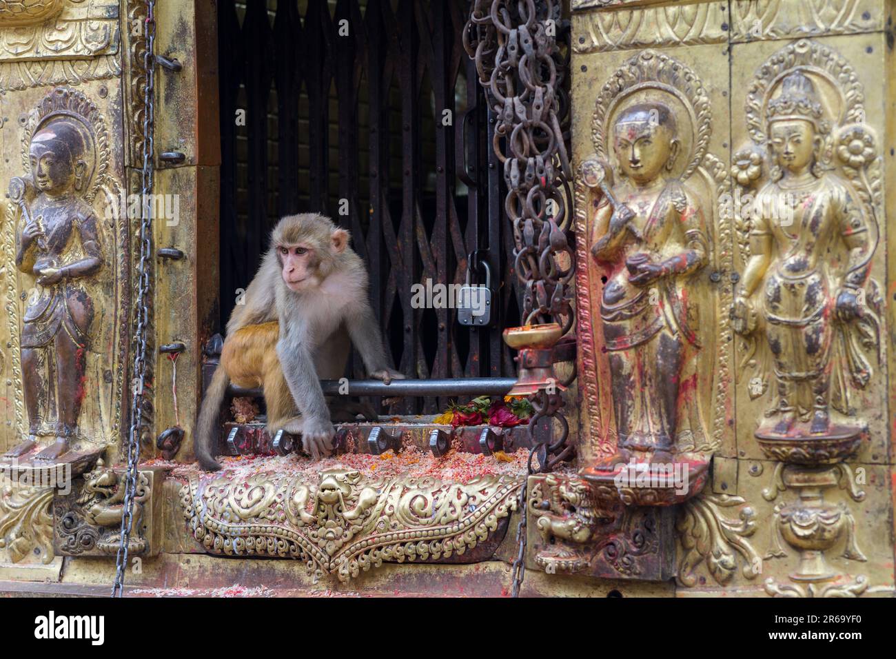 A monkey on an ornate temple structure with intricate designs and ...