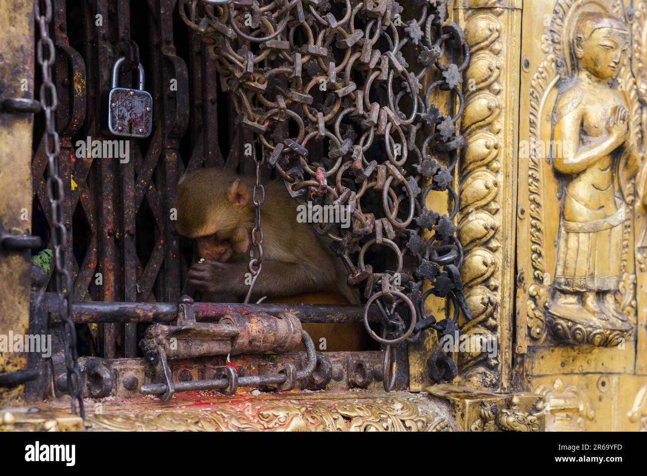 An adorable monkey perched on a colorful and ornate temple structure ...