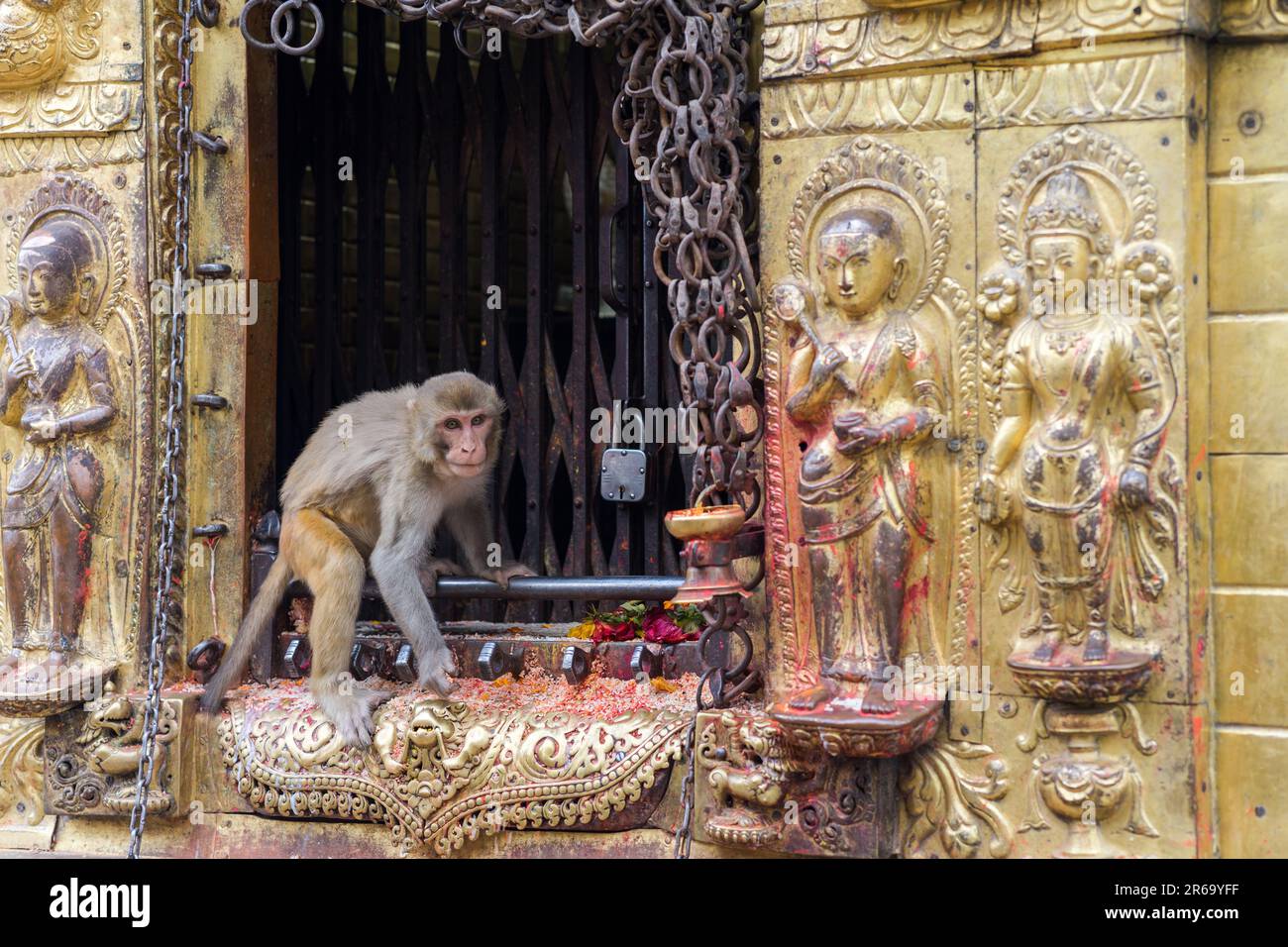 A monkey on an ornate temple structure with intricate designs and ...