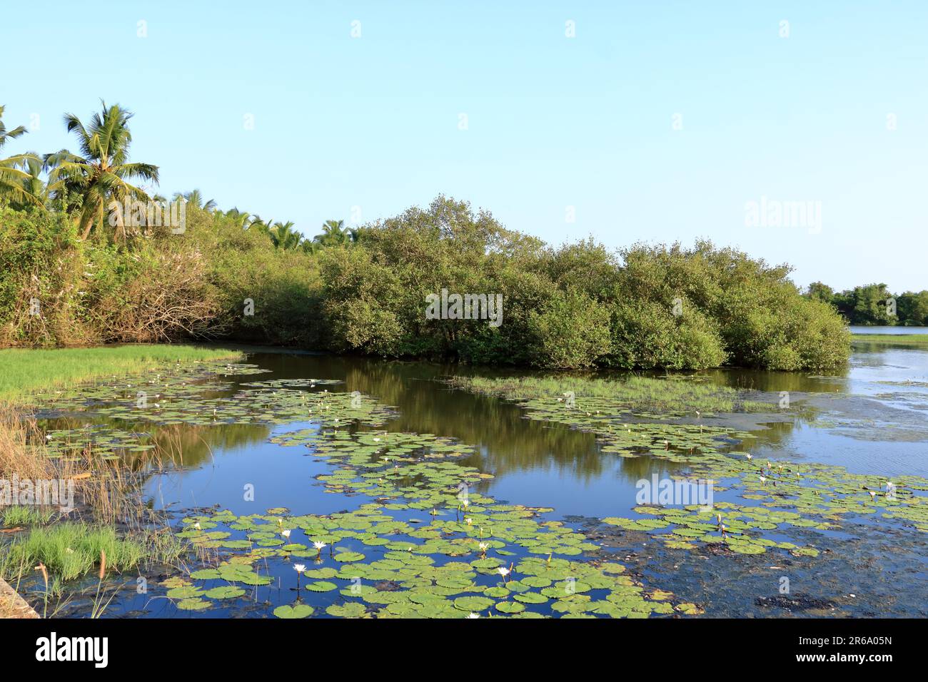 Backwater View near the Pazhayangadi Bridge in Kannur District in ...