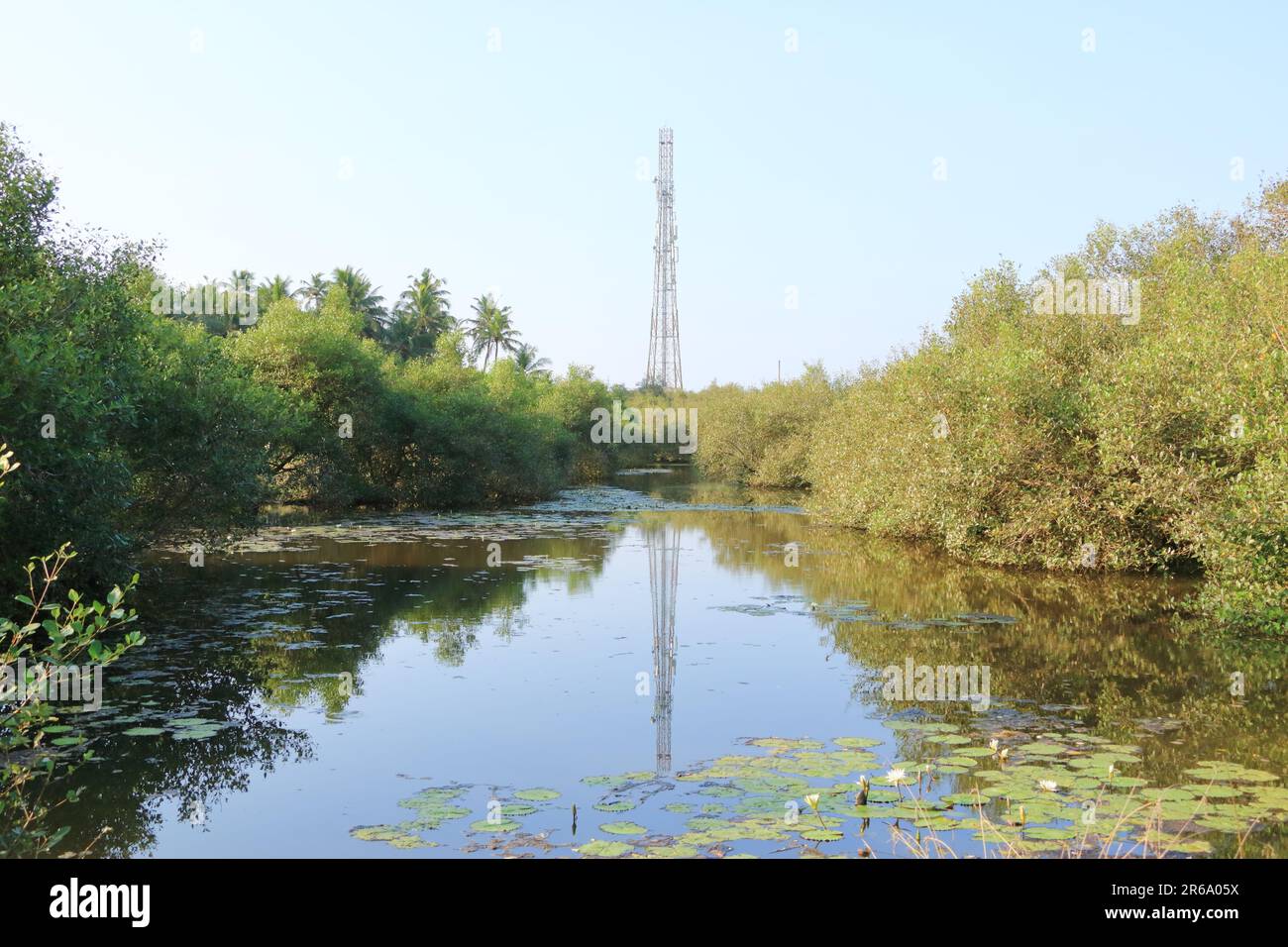 Backwater View near the Pazhayangadi Bridge in Kannur District in ...