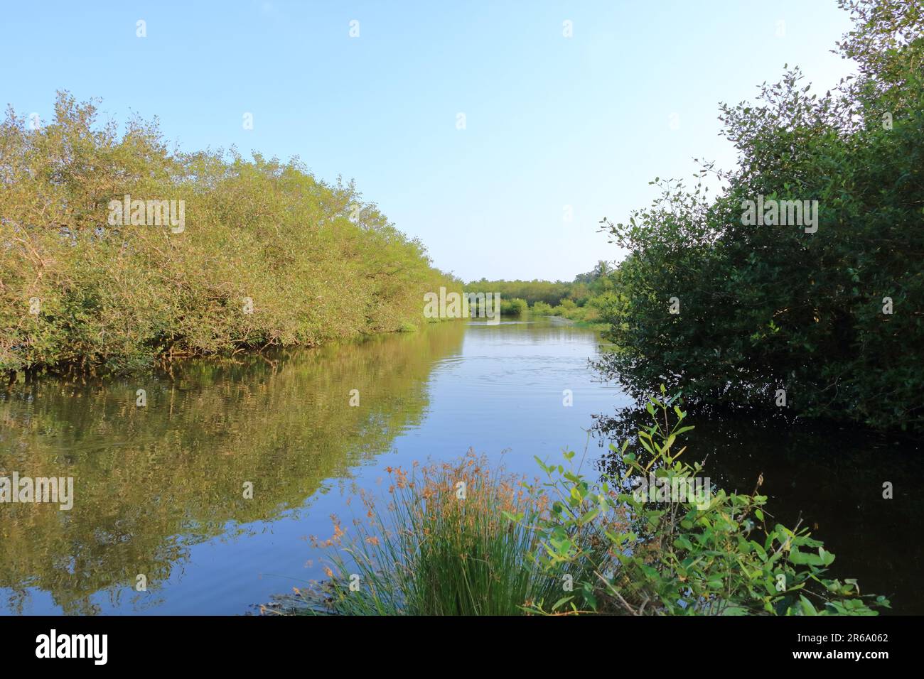 Backwater View near the Pazhayangadi Bridge in Kannur District in ...