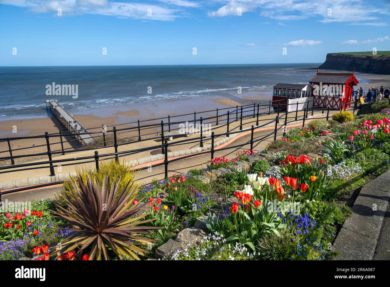 Fossil garden england hi-res stock photography and images - Alamy