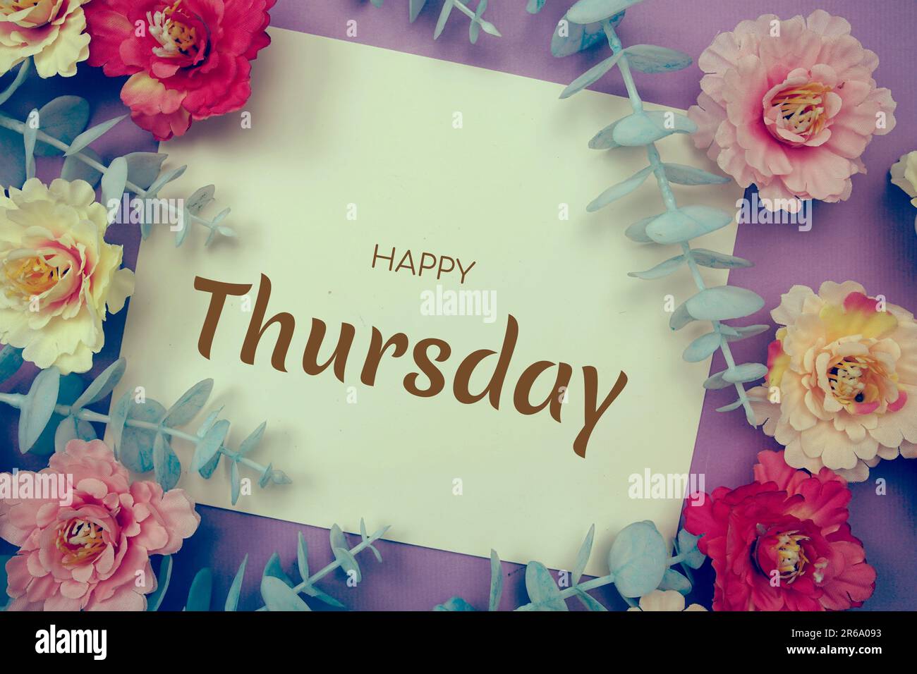 Happy Thursday typography text and flower decorate on purple background ...