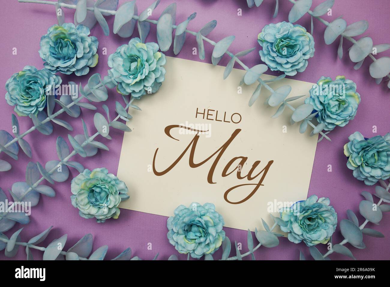 Hello May typography text and flower decorate on purple background ...