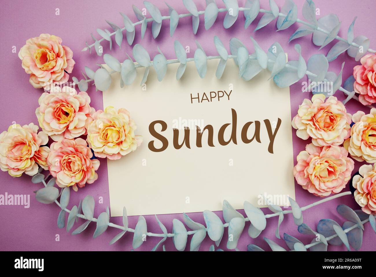 Happy Sunday typography text and flower decorate on purple background ...