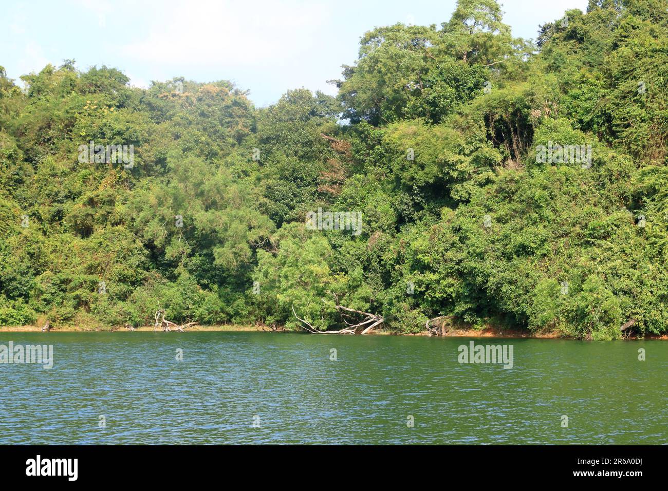 the lake in front of the at peruvannamuzhi (peruvannamoozhi) dam ...