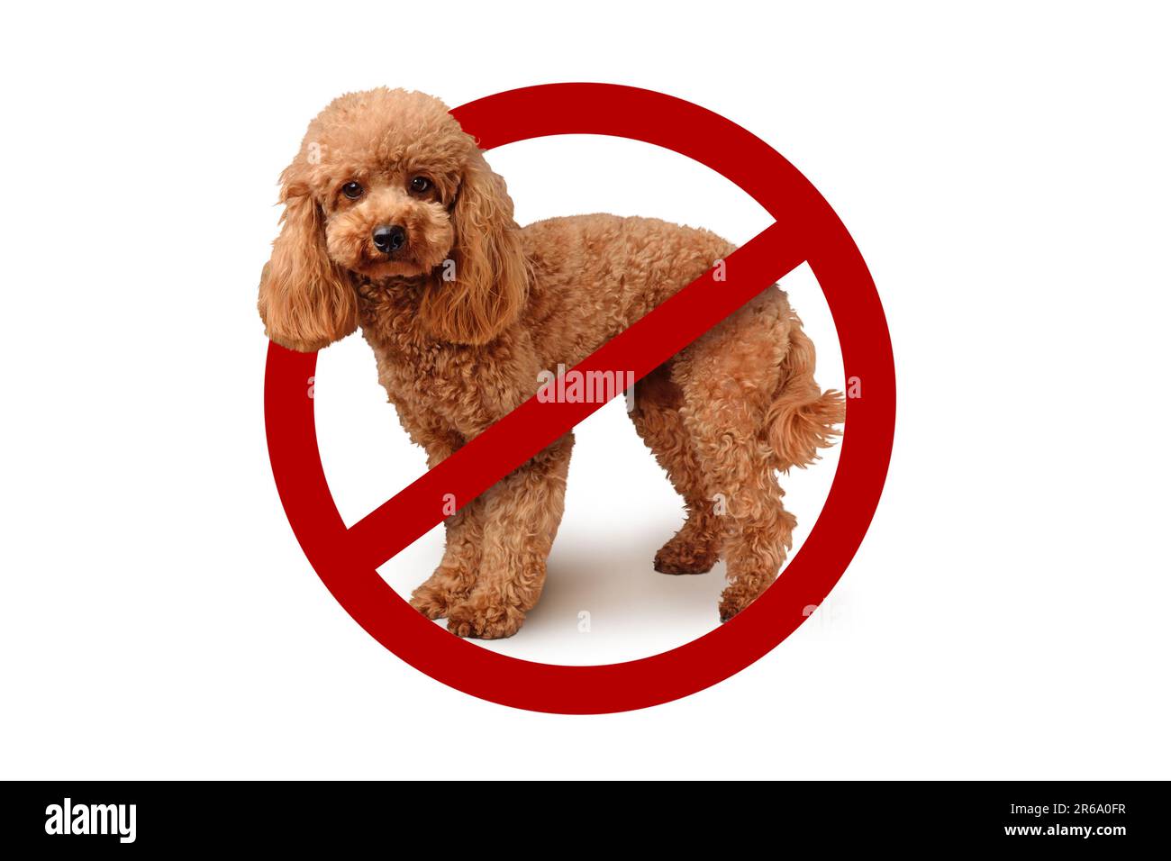 Dog exclusion areas hi-res stock photography and images - Alamy