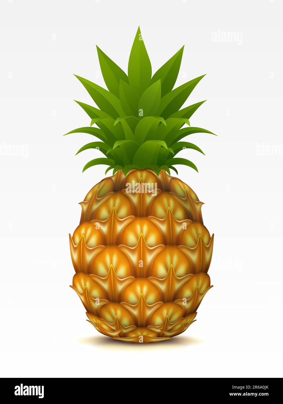 Bright vector illustration pineapple Stock Vector Images - Alamy