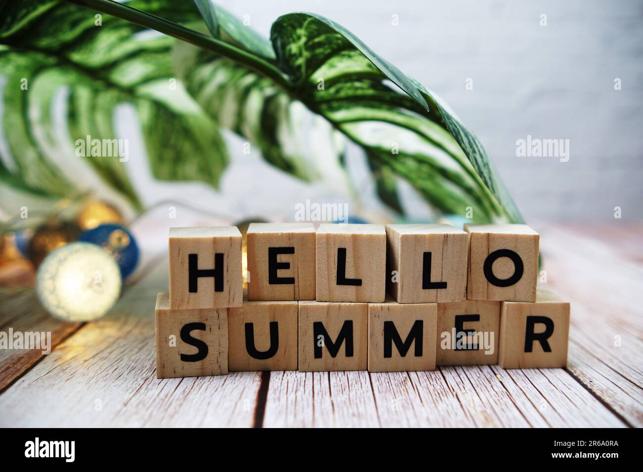 Hello Summer alphabet letters with monstera leave and LED cotton balls ...