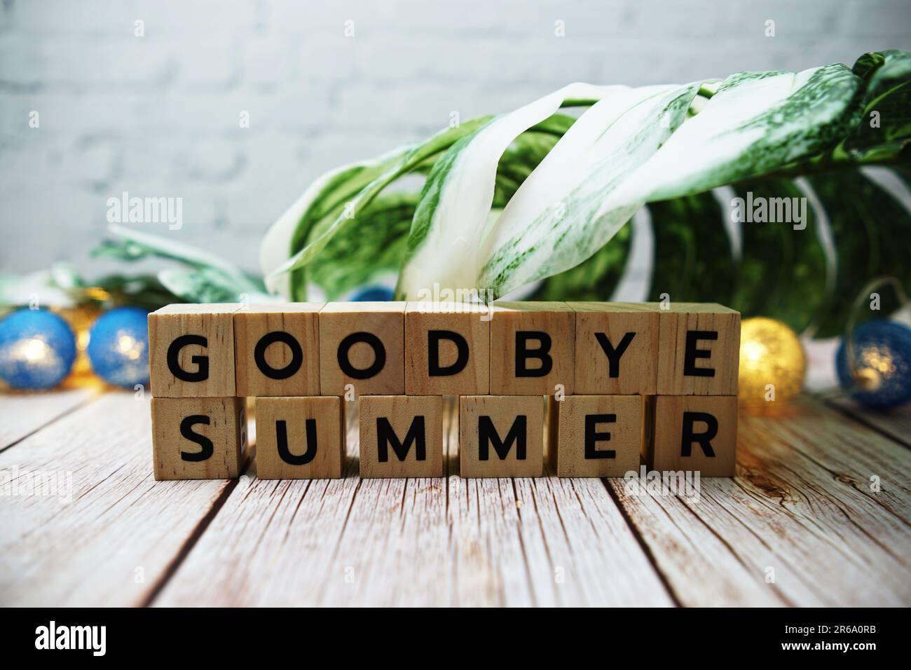 Goodbye Summer 2022