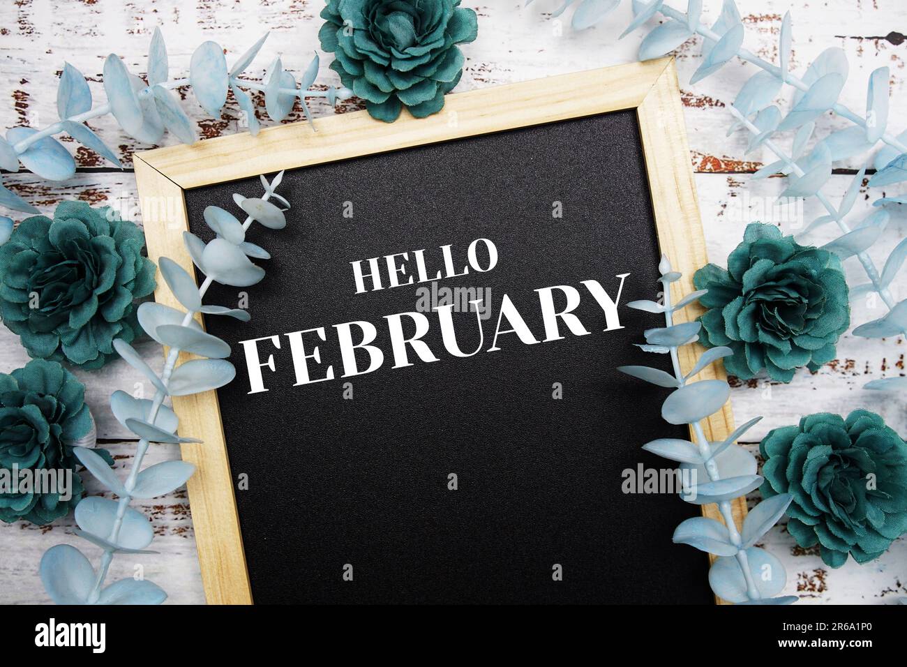 Hello February typography text and flower decoration on blackboard ...