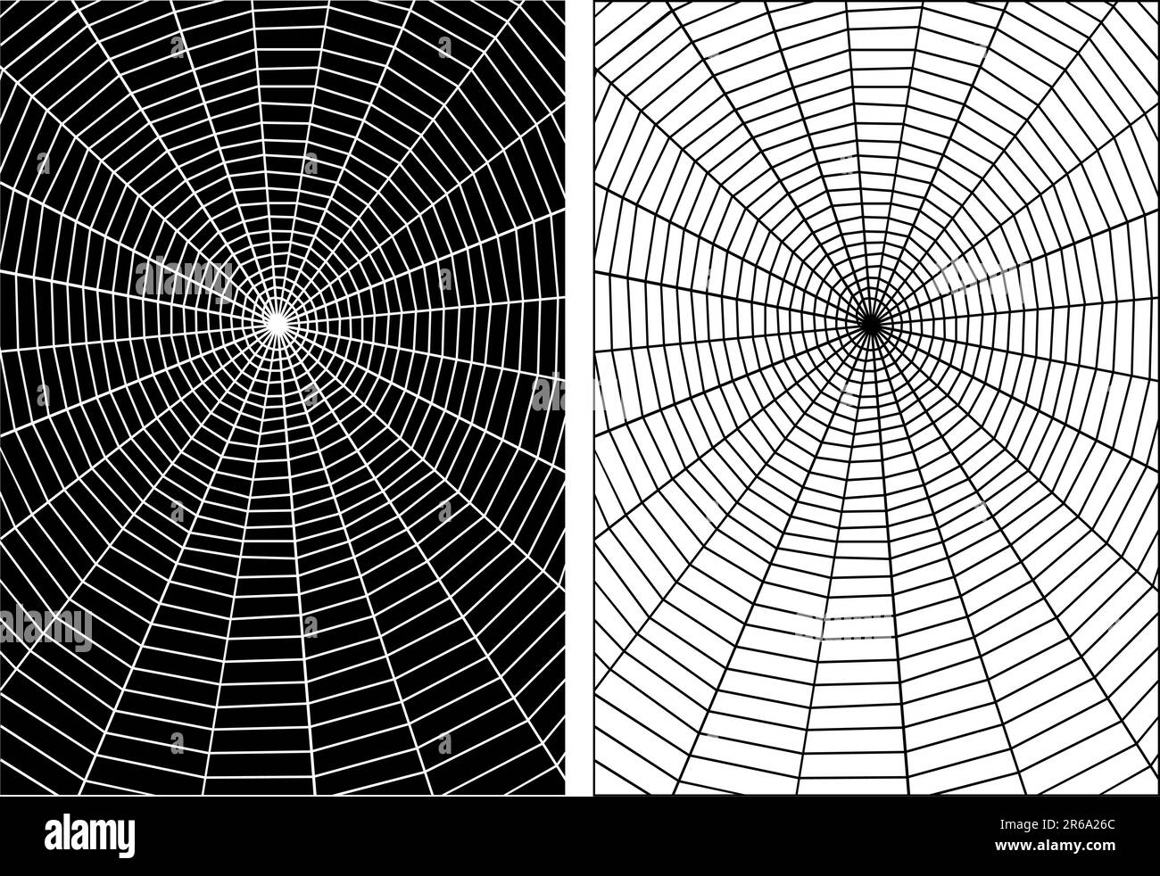 Vector illustration of an orb spider's web Stock Vector Image & Art - Alamy