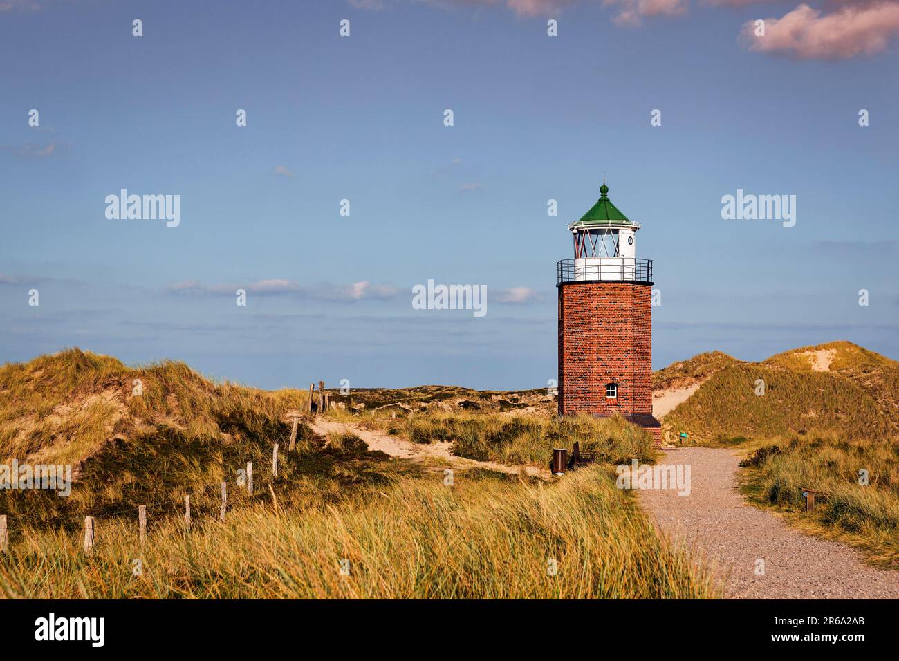 Red Cliff cross light in the evening light, dune landscape, Kampen ...