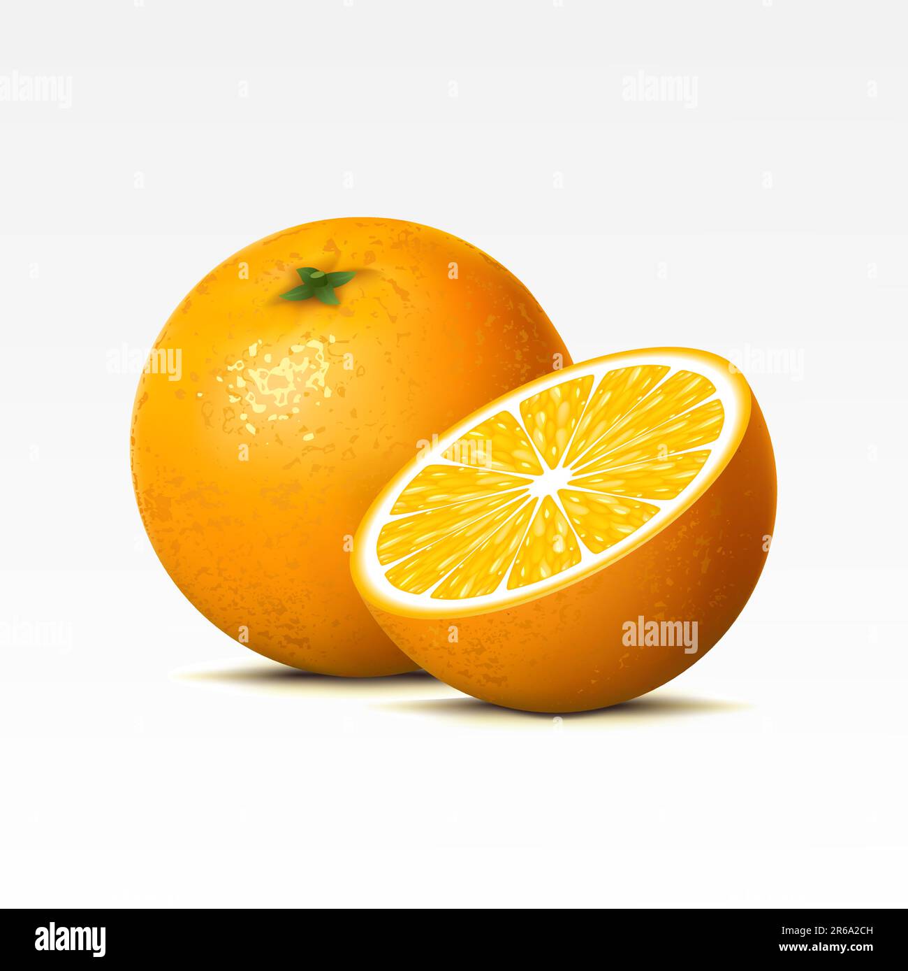 Two oranges on a white background Stock Vector Image & Art - Alamy