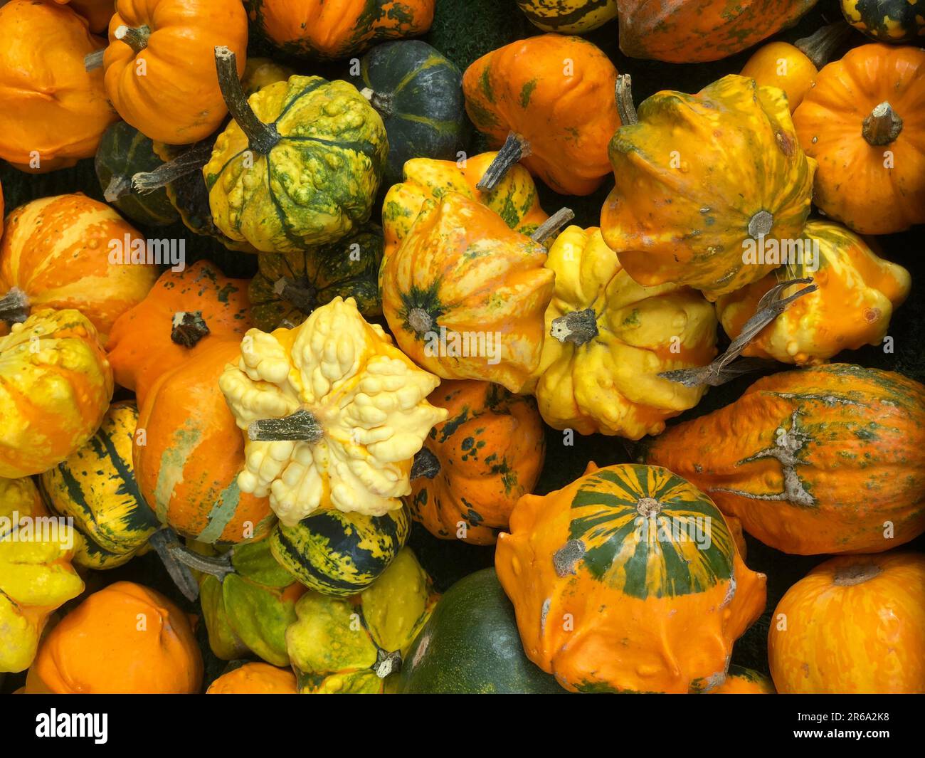 Fall themed background hi-res stock photography and images - Alamy