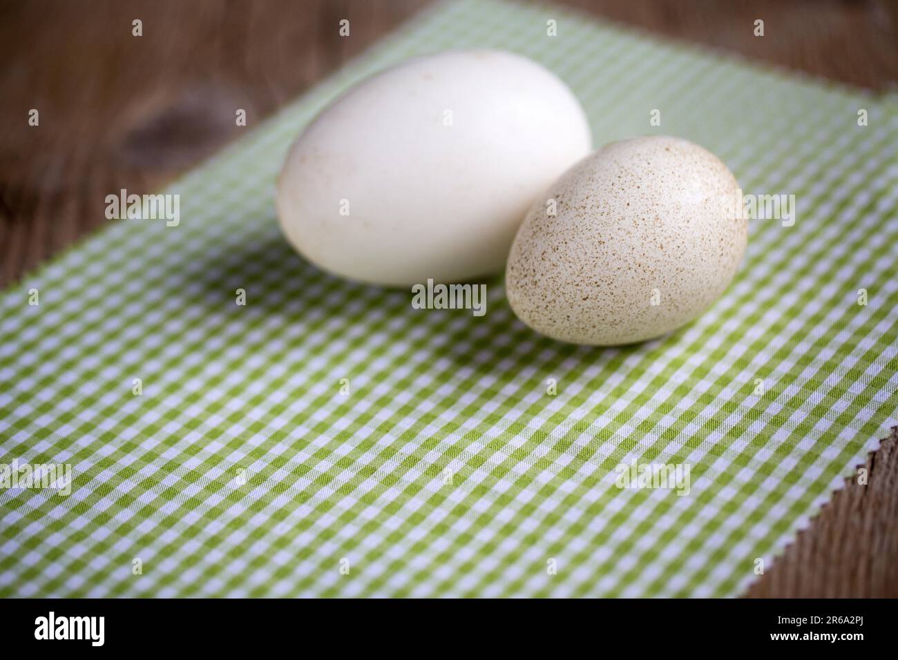 Goose egg and duck egg Stock Photo - Alamy