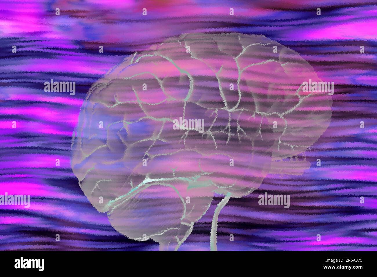 Gerhirn An organ for signal transmission well protected in the head ...