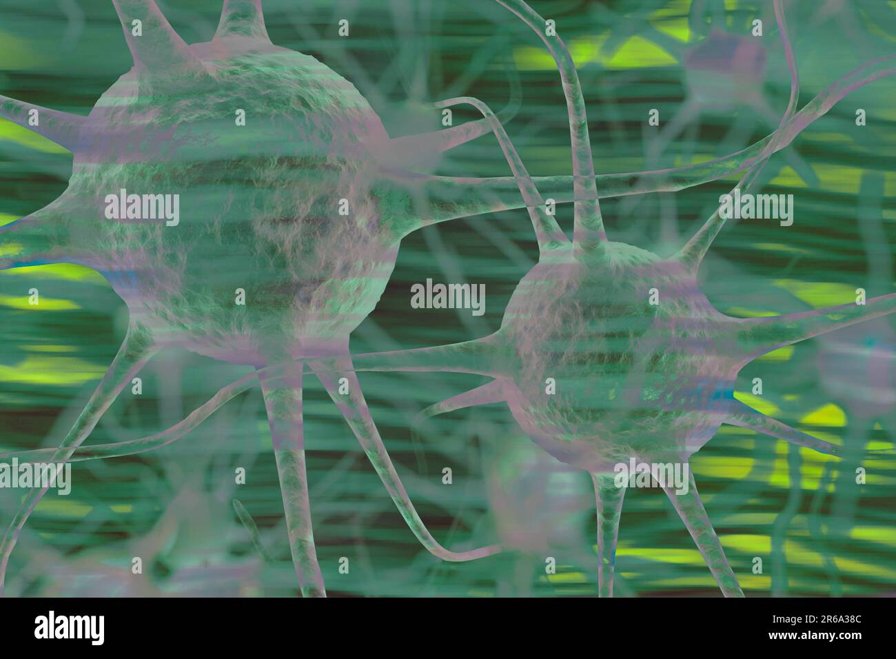 Nerves The cells transmit signals, illustration, natural science ...