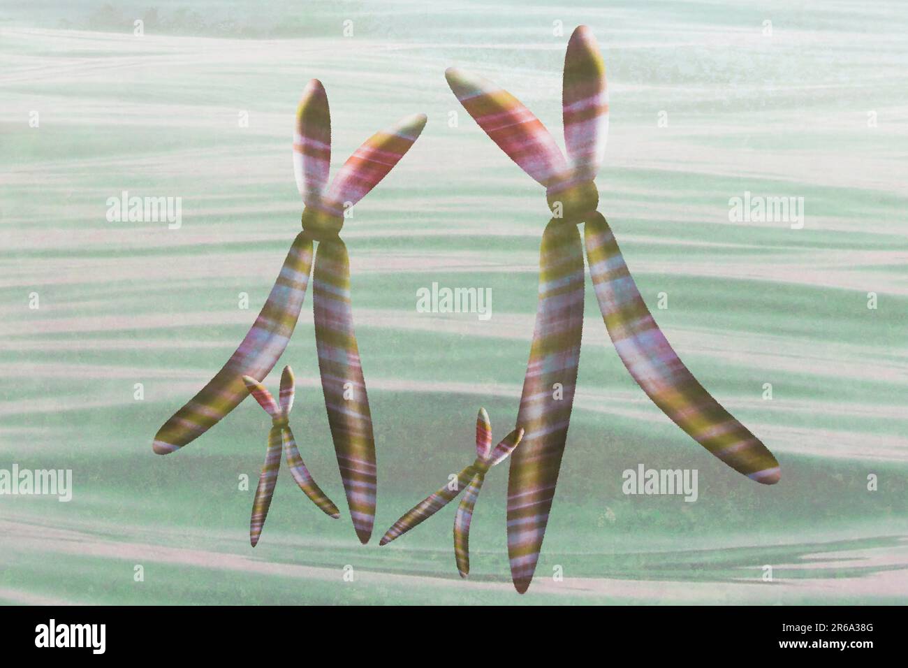 Chromosome In the chromosome lies everything important for the cells ...