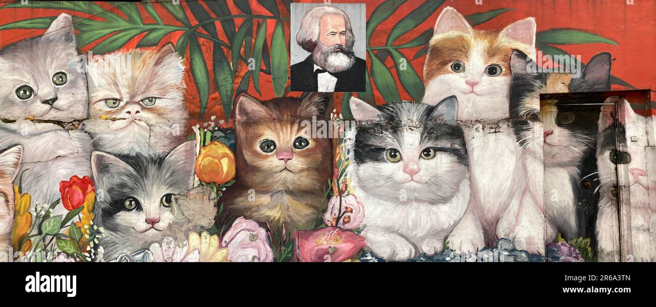 Street art by an unknown artist showing many cats with a portrait of ...