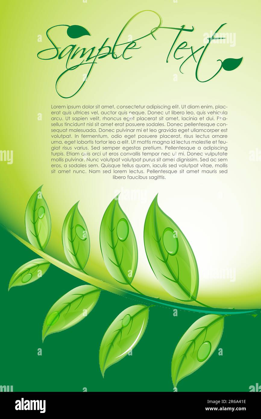 illustration of natural card with leaf Stock Vector Image & Art - Alamy