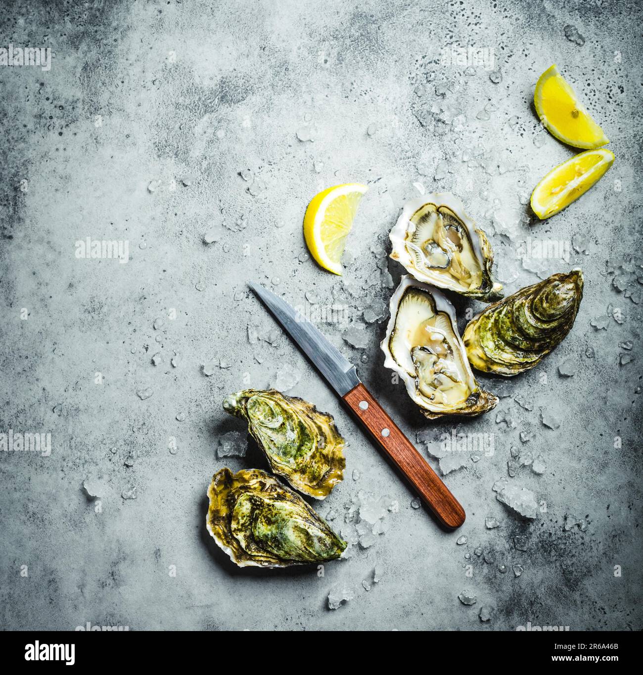 Fresh oysters on ice, knife, lemon wedges. Rustic stone background. Opened fresh raw oysters ...
