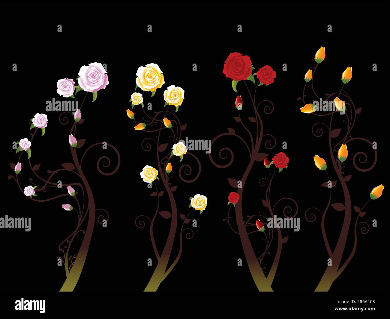 illustration of roses on vine Stock Vector Image & Art - Alamy