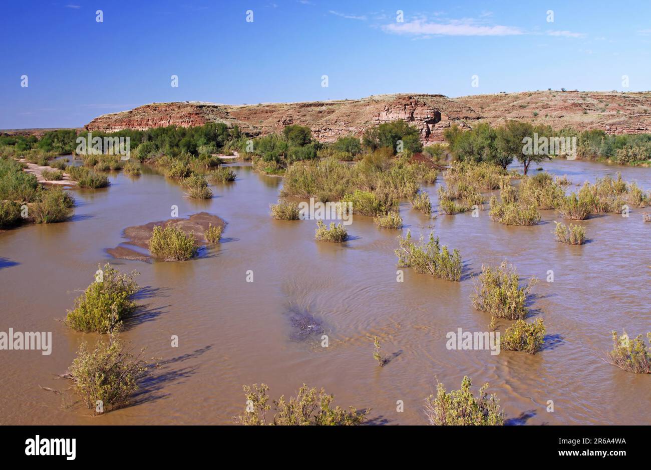 Riverbed fish hi-res stock photography and images - Alamy
