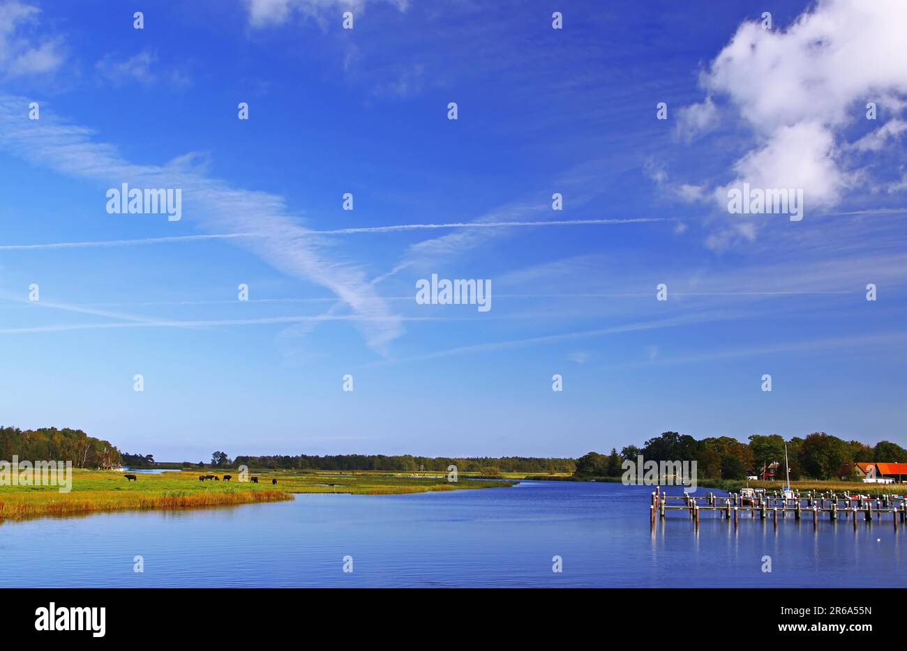 Prerower Strom in the National Park Vorpommersche Boddenlandschaft ...