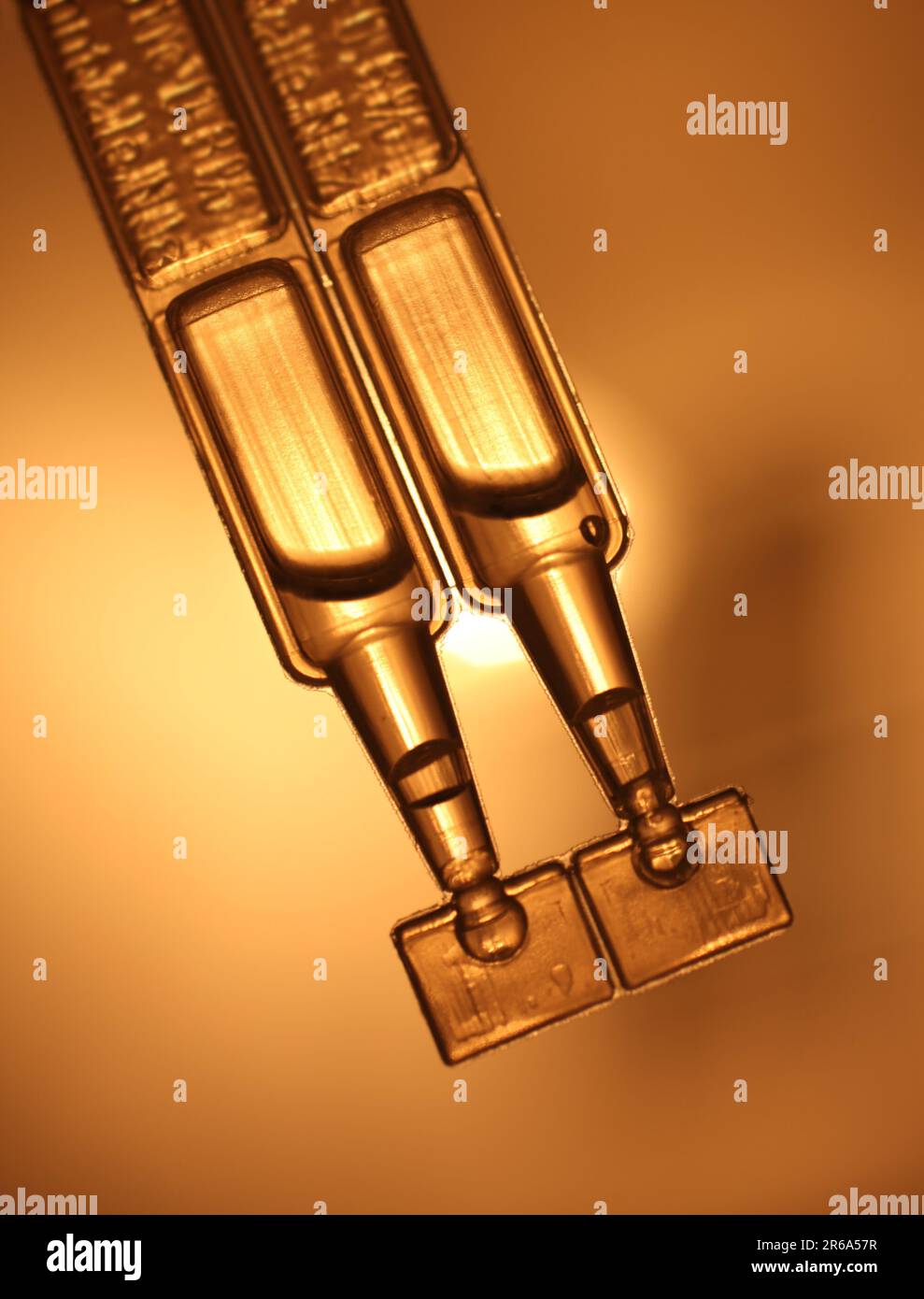 Closeup of a row of identical, single-dose medicine vials Stock Photo ...