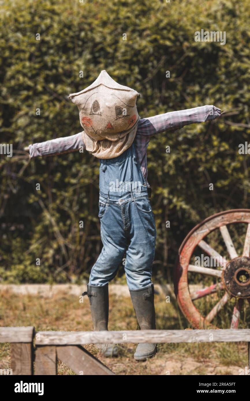 A scarecrow in greenery garden Stock Photo - Alamy