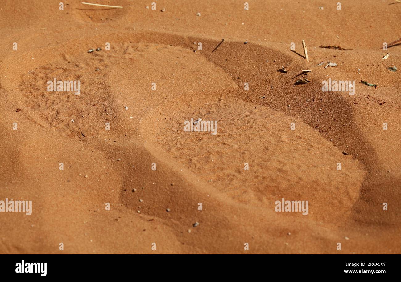 Elephant footprint hi-res stock photography and images - Alamy