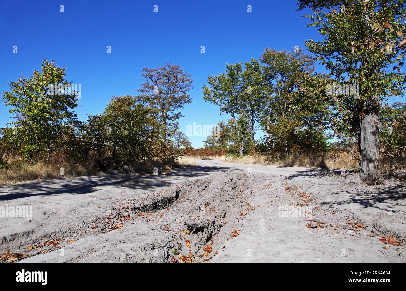 Rough track in Moremi Game Reserve, Botswana, dirt road in Moremi Game ...