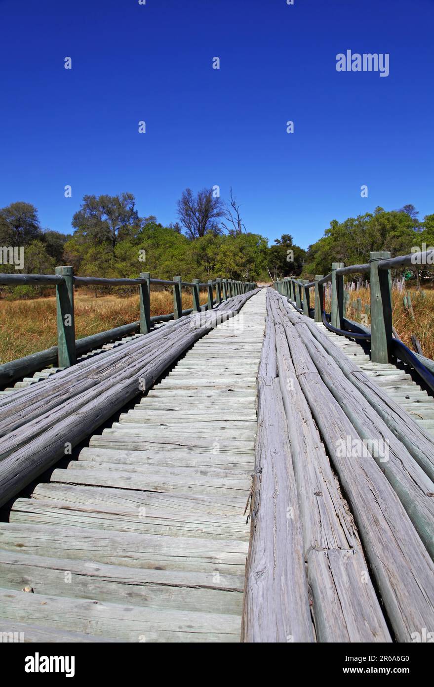 North Gate Bridge, Khwai Bridge in Moremi Game Reserve, Botswana ...
