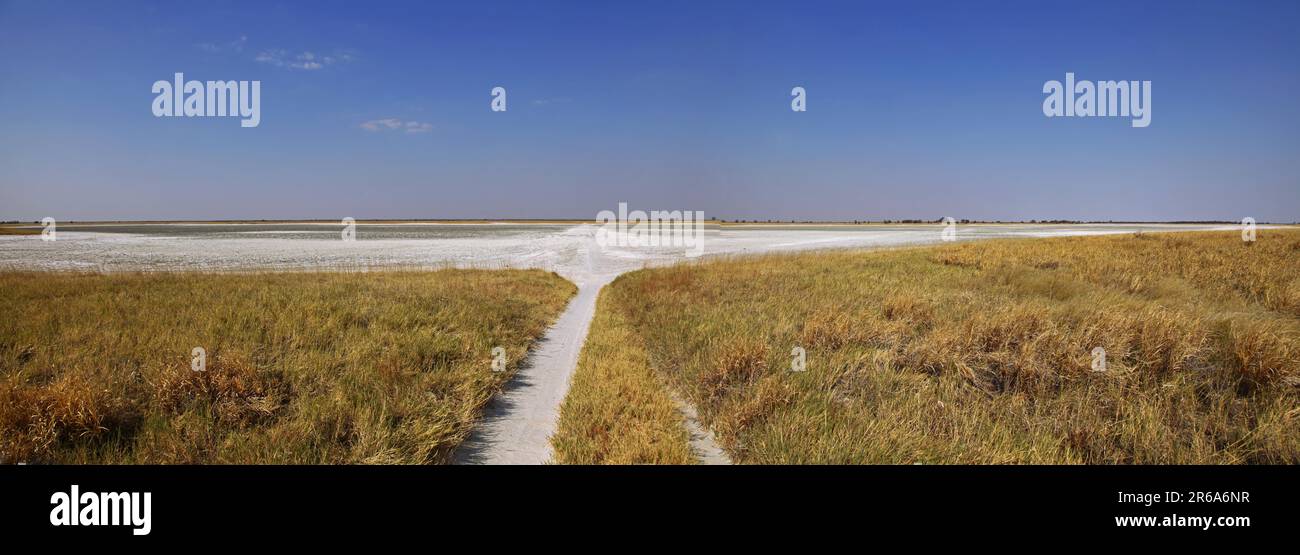 Makgadikgadi see hi-res stock photography and images - Alamy